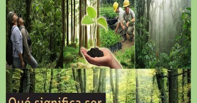 Carrera de Ingeniería Forestal( Espoch): Concepto de Ingenieria Forestal