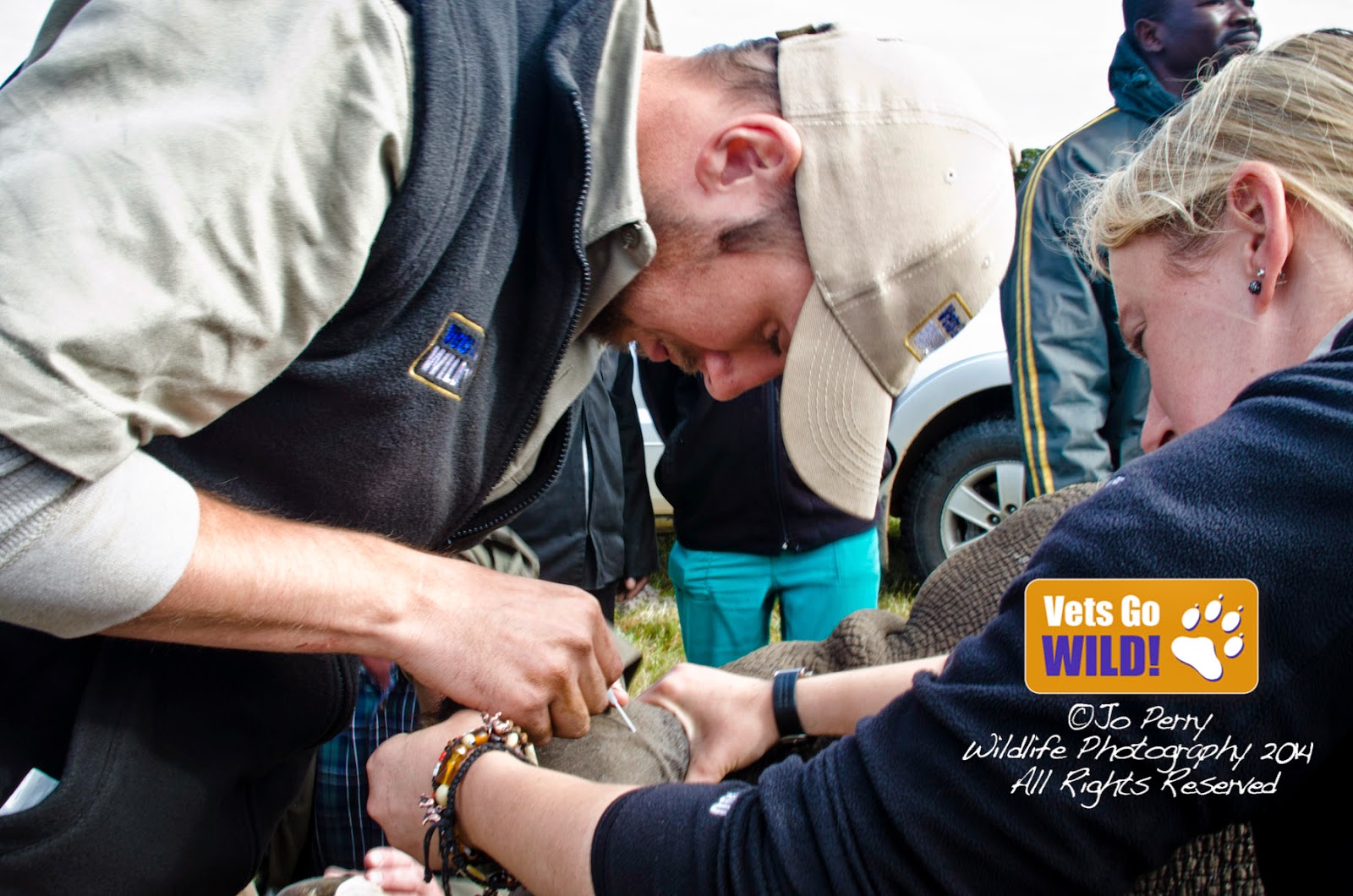 Vets Go Wild July 2014: July 2014