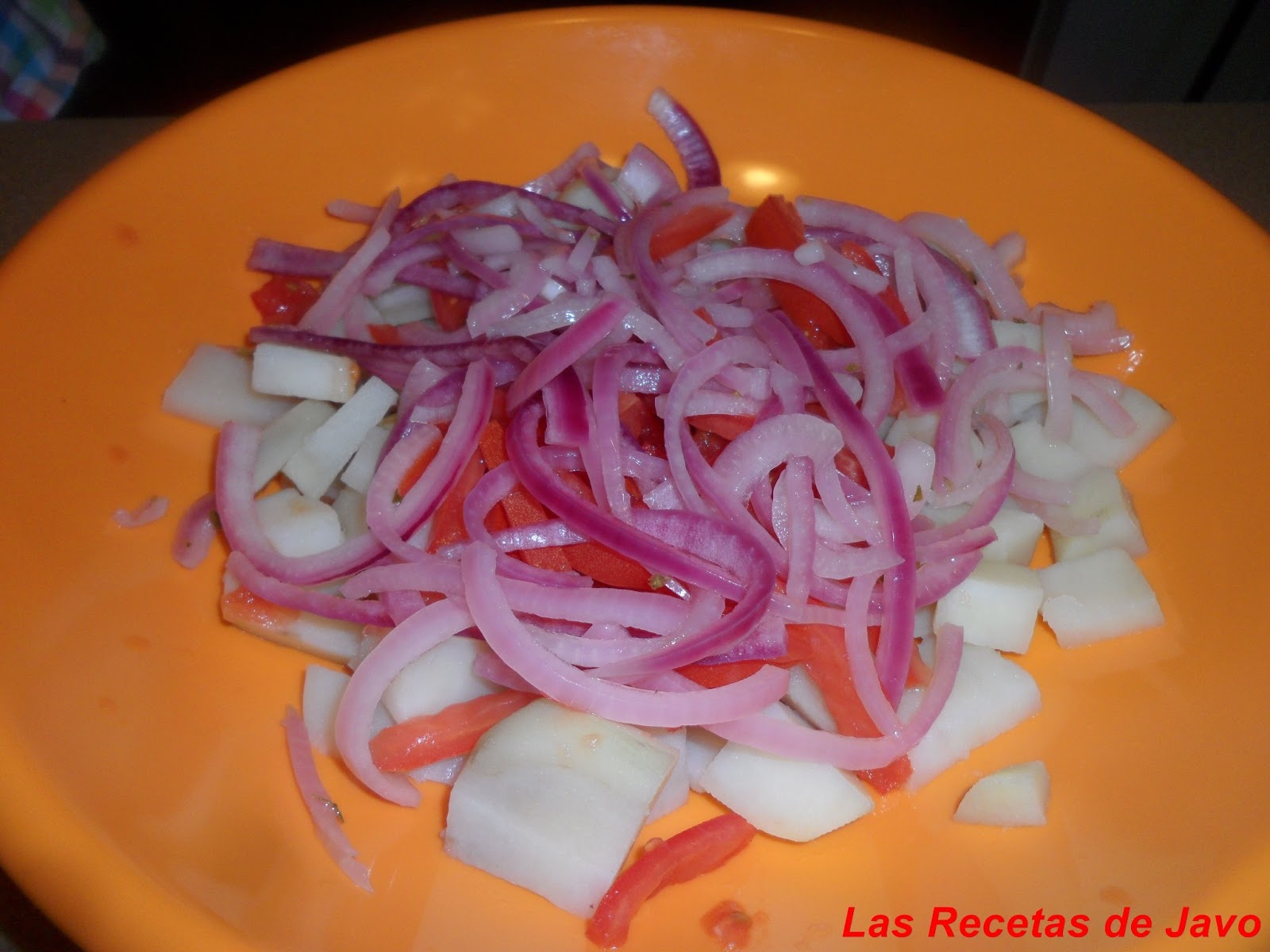 LAS RECETAS DE JAVO: SALPICON DE RES