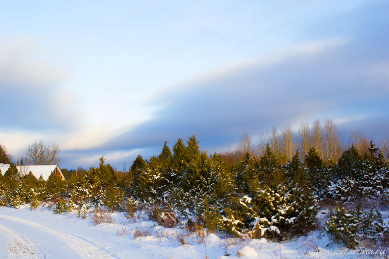 Katariina kudugurmee: Muhumustrilised sõrmikud Ritale.
