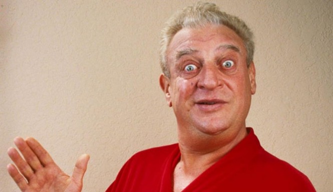 LA ZANCADA METÁLICA: MÁS ALLÁ DE LOS CABALLOS