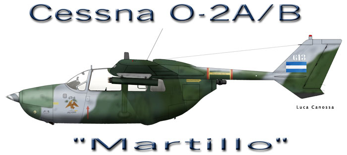 Warbird Notes and Stories : Dollar Tree Warbird Cessna 337