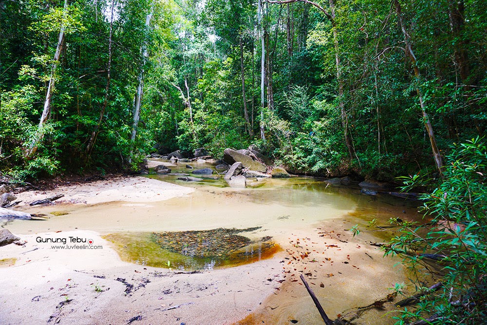 Gunung Tebu 两天一夜甘蔗山露营记 - 乐飞翎 ♥ LUVFEELIN