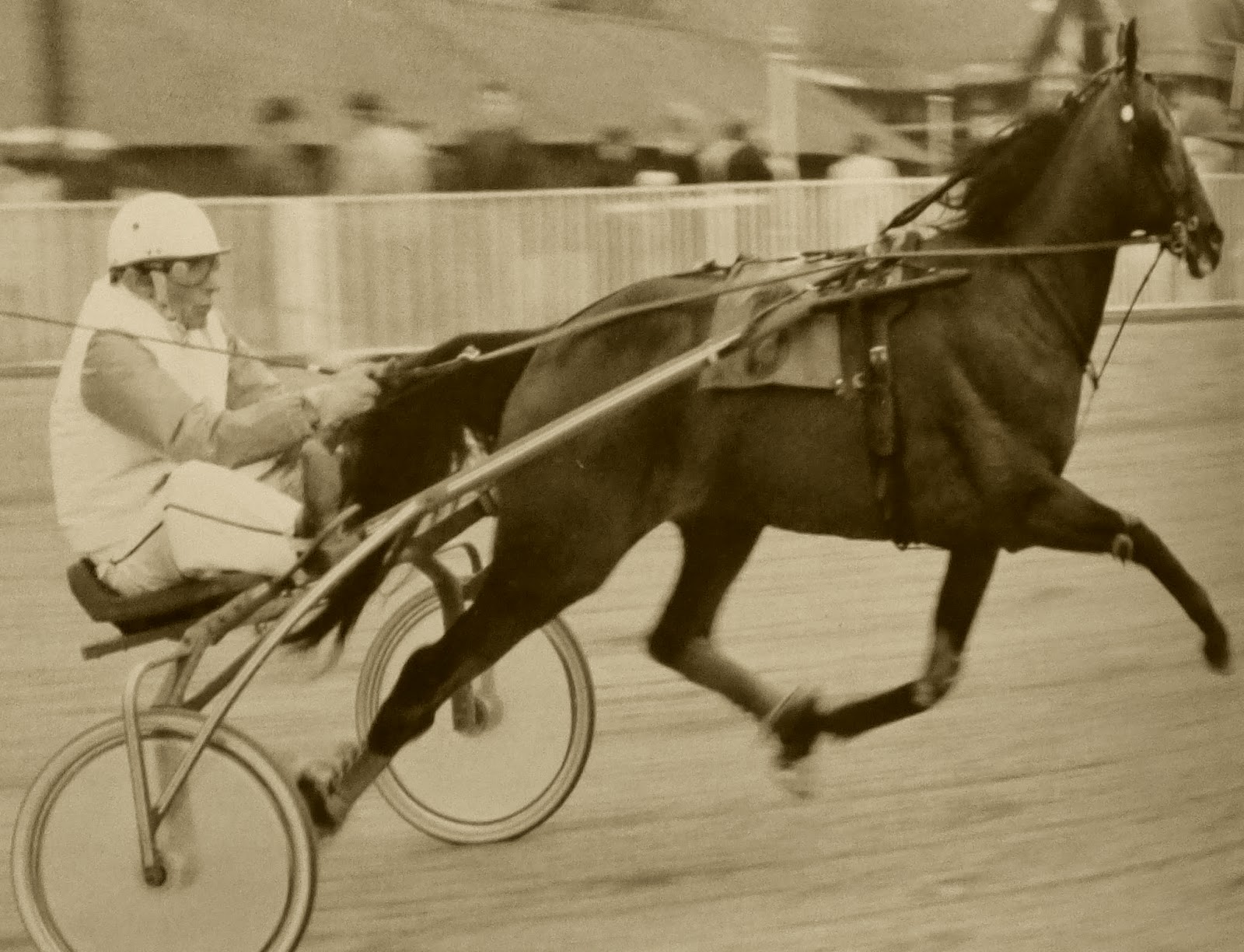 OTTAVA CORSA: 26.12.1985: il "Turilli" di Antonio Macchi