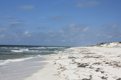 Revive Bath & Body: Dog Island, Florida