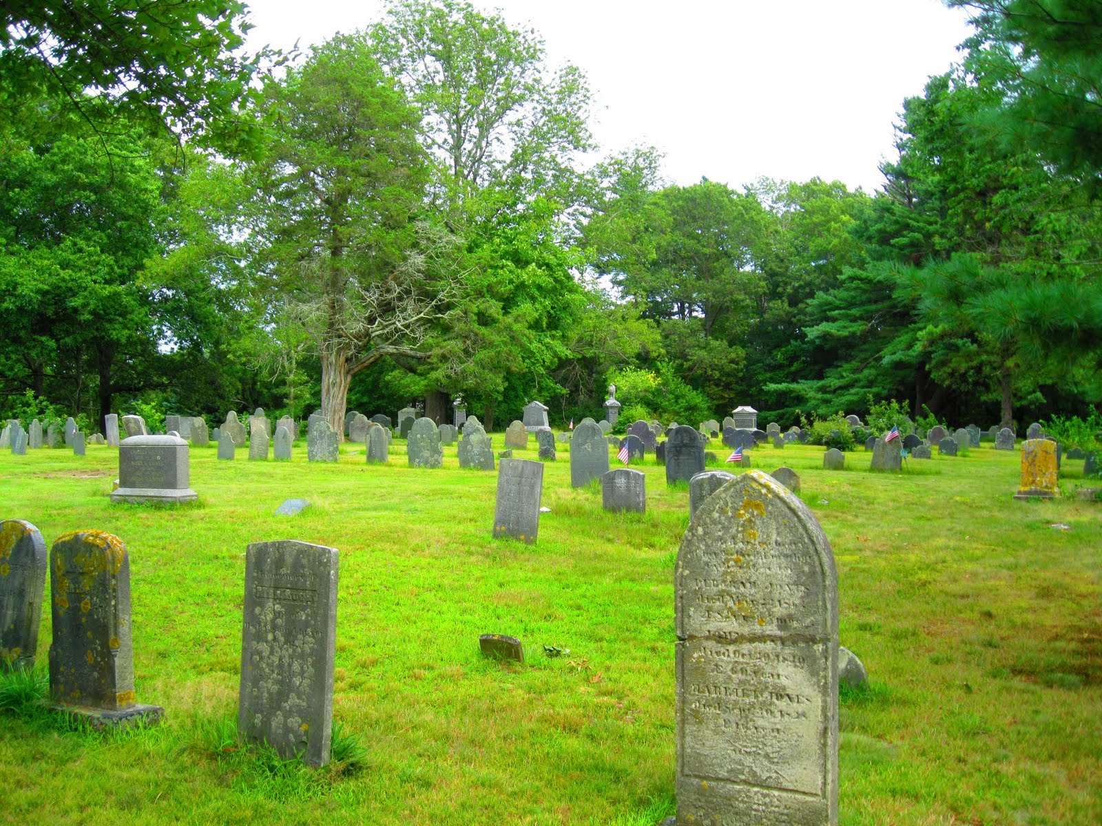 THE OLD COLONY GRAVEYARD RABBIT: MARSHFIELD HILLS CEMETERY, MARSHFIELD MA.