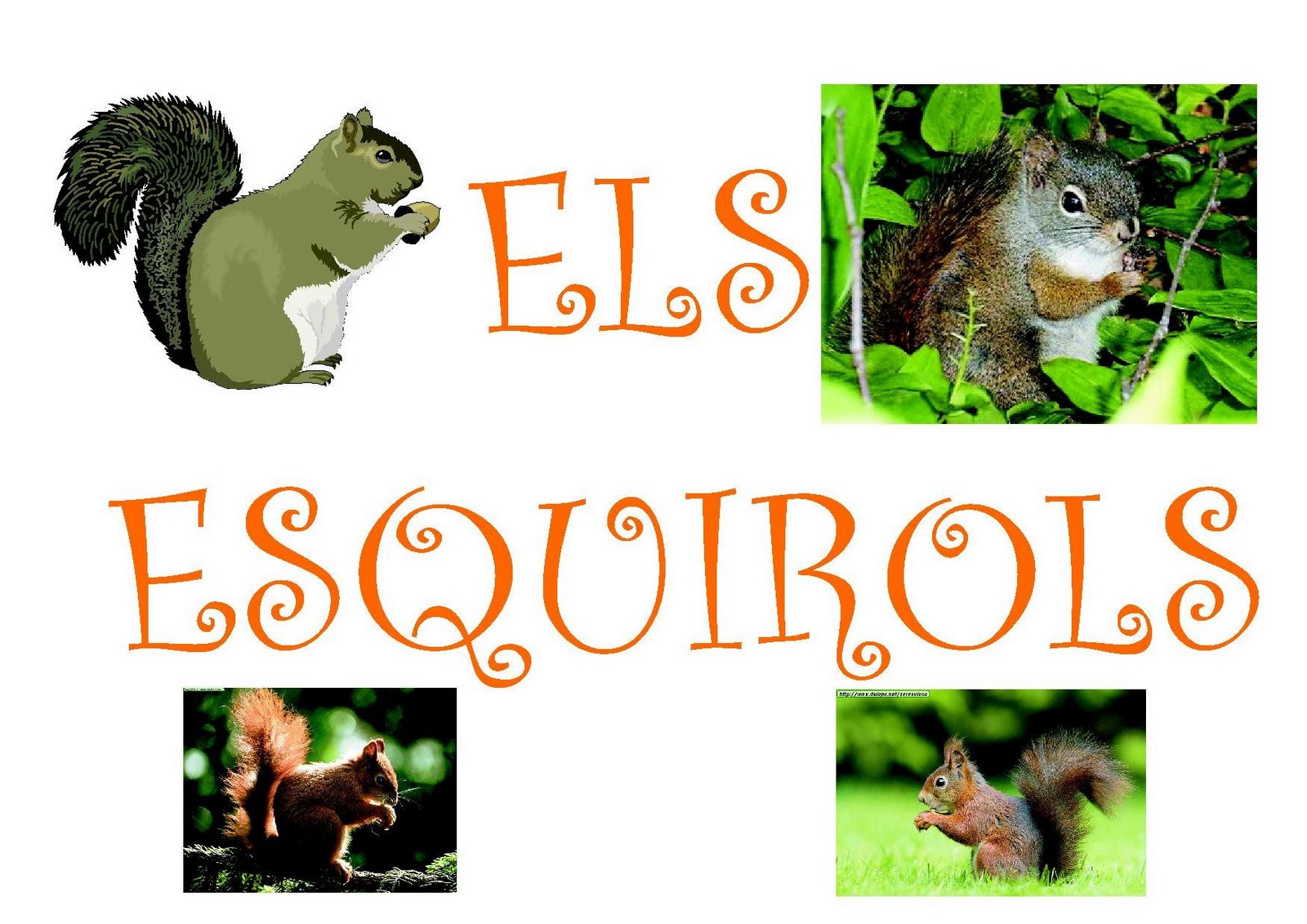 Els Petits Infants: L'ESQUIROL