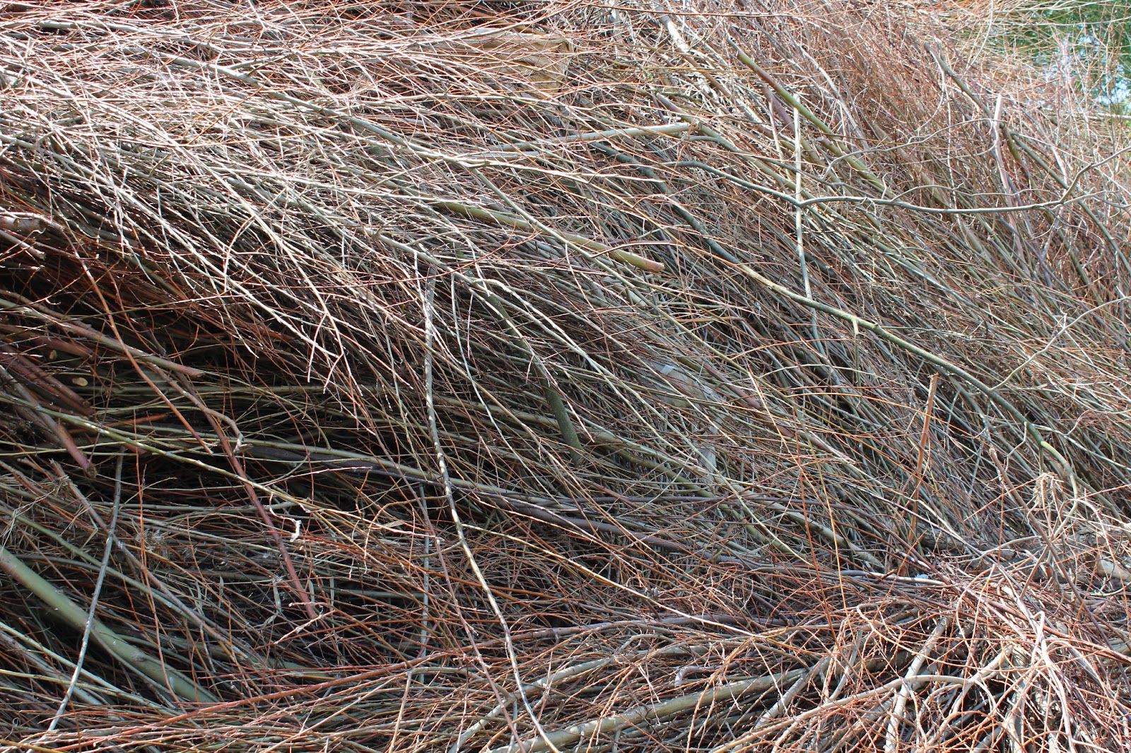 selo-clipart: Reisig - хворост