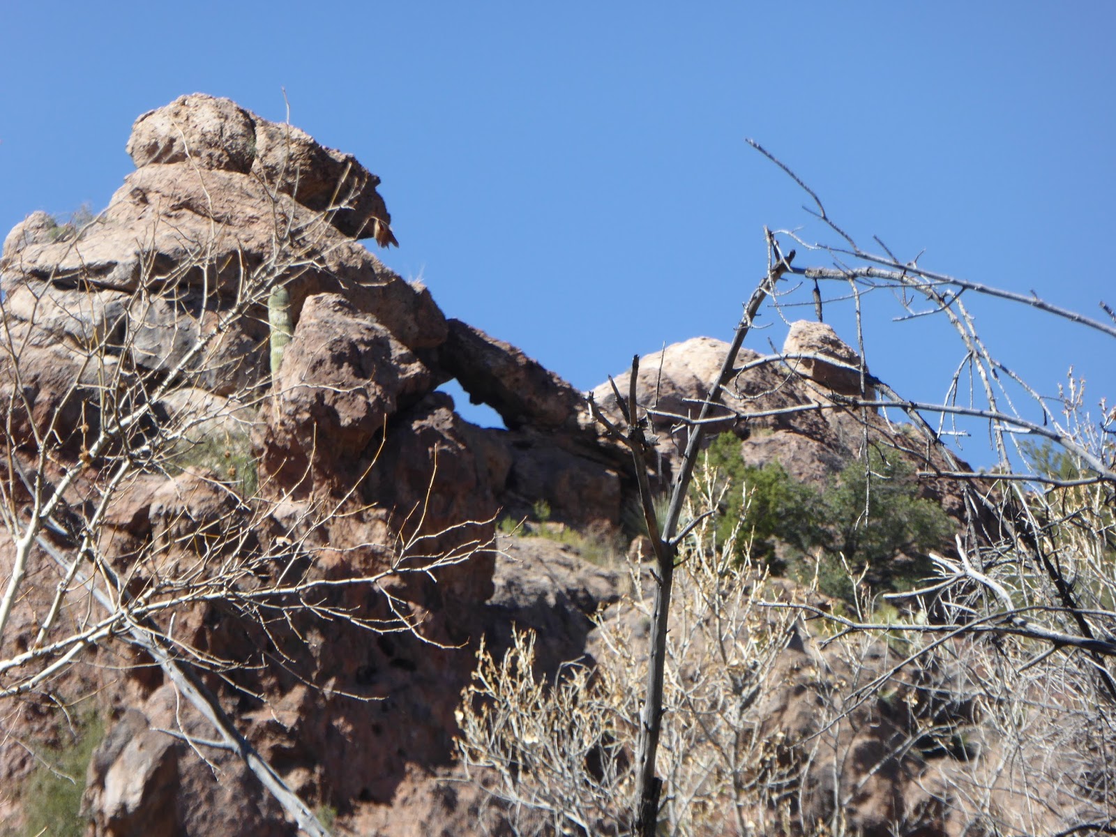 Travels of The Mercury: Redfield Canyon Rock House, AZ, February 2016