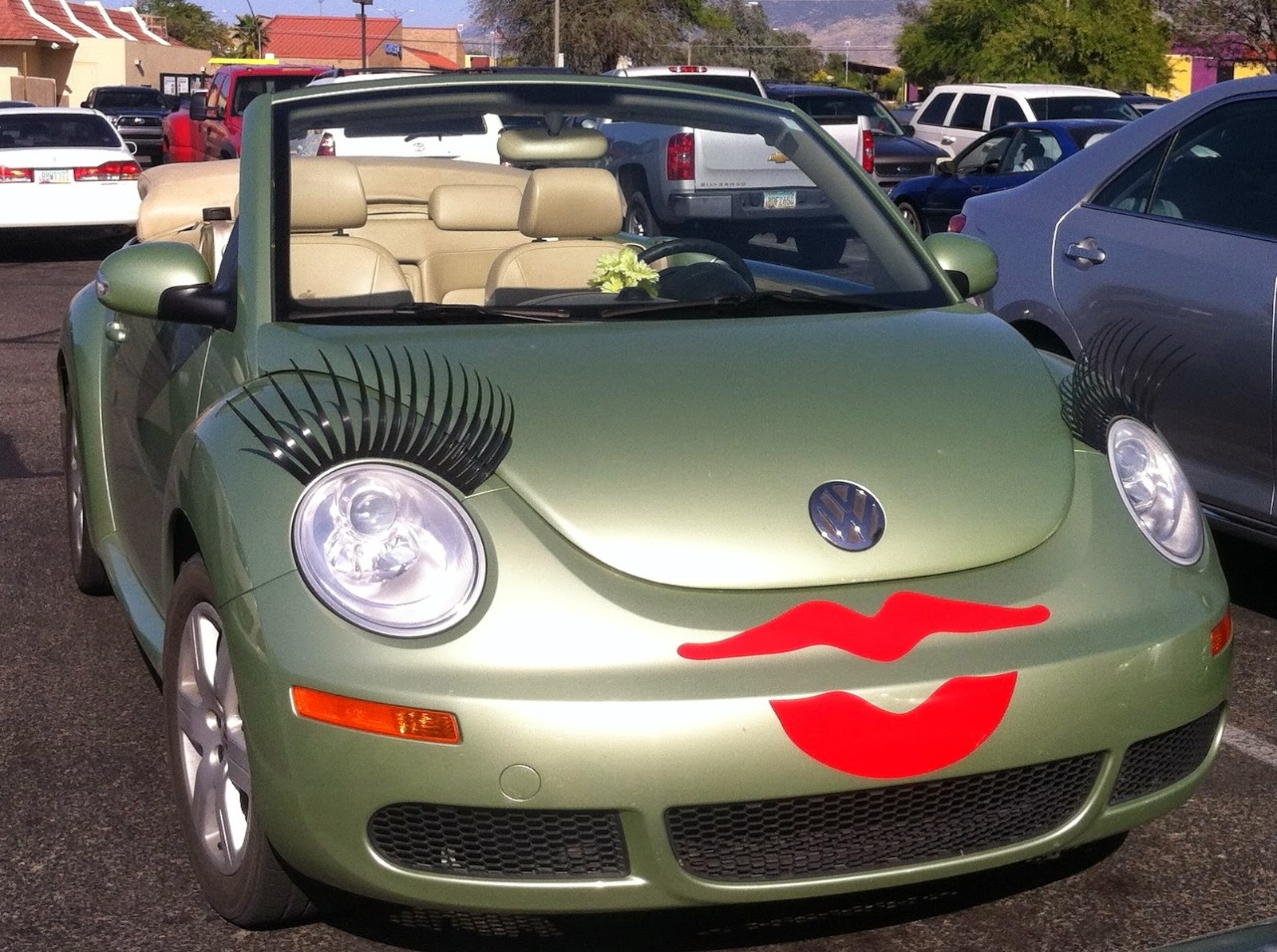 Tucson Daily Photo ~: A Super Happy Friday to You!