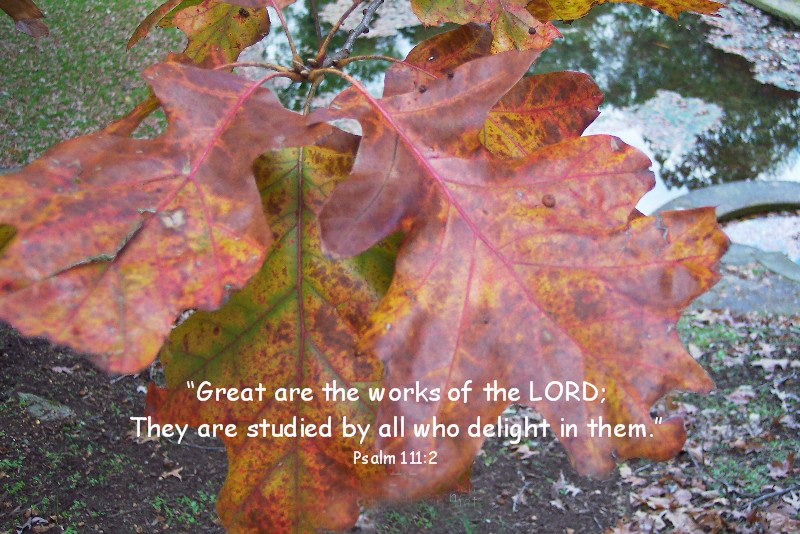 His Holy Hill: Psalm 111