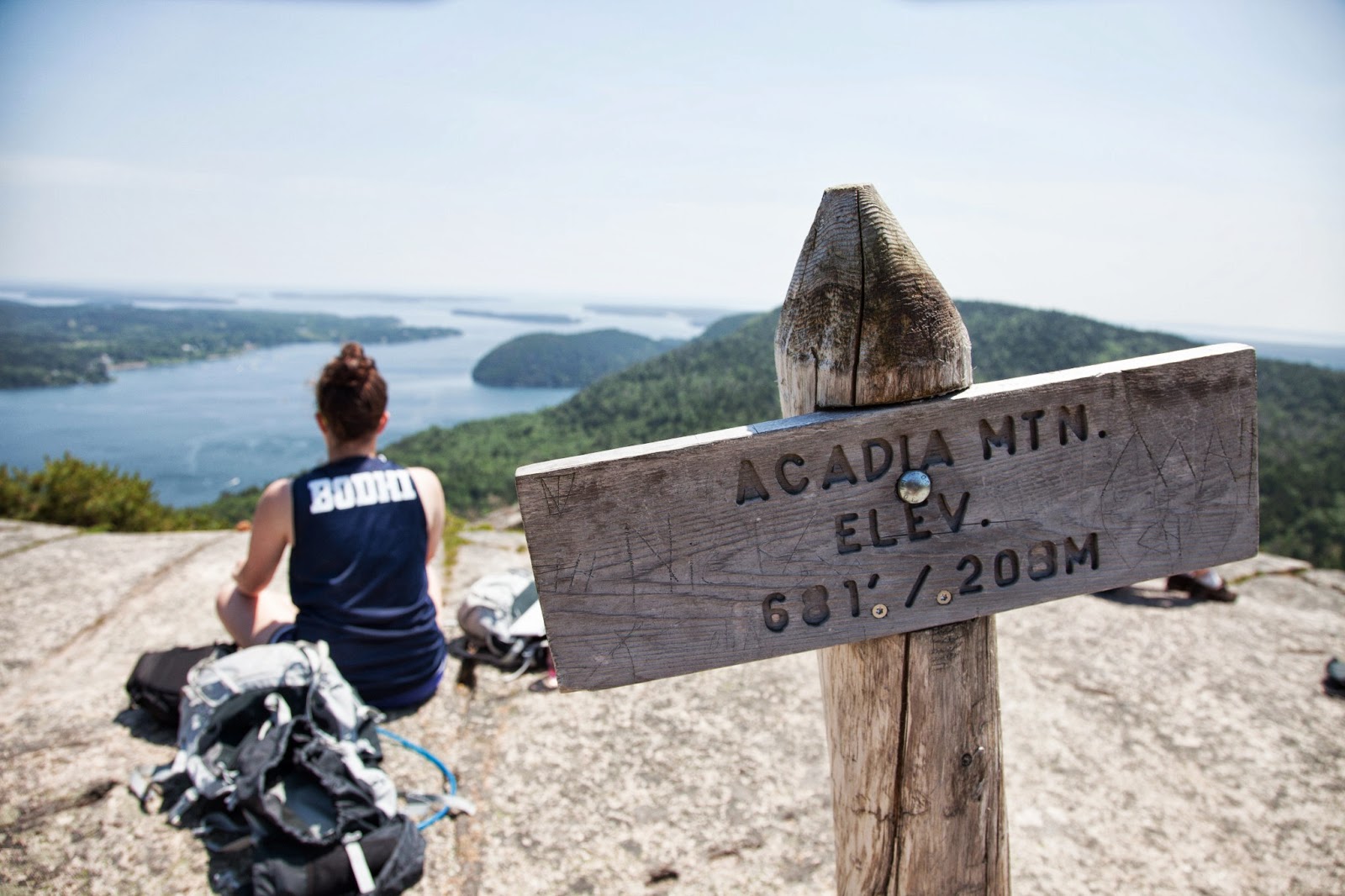 Acadia National Park | Bear Count