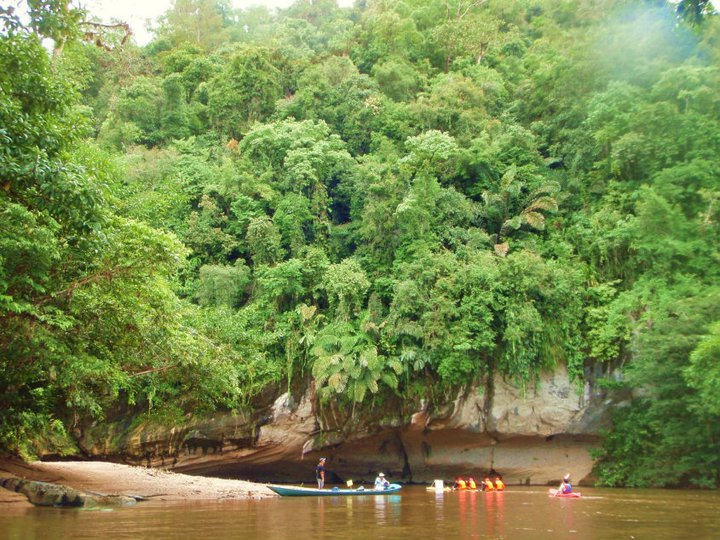 Cats City Hornbill Land: PADAWAN FEST RIVER SAFARI