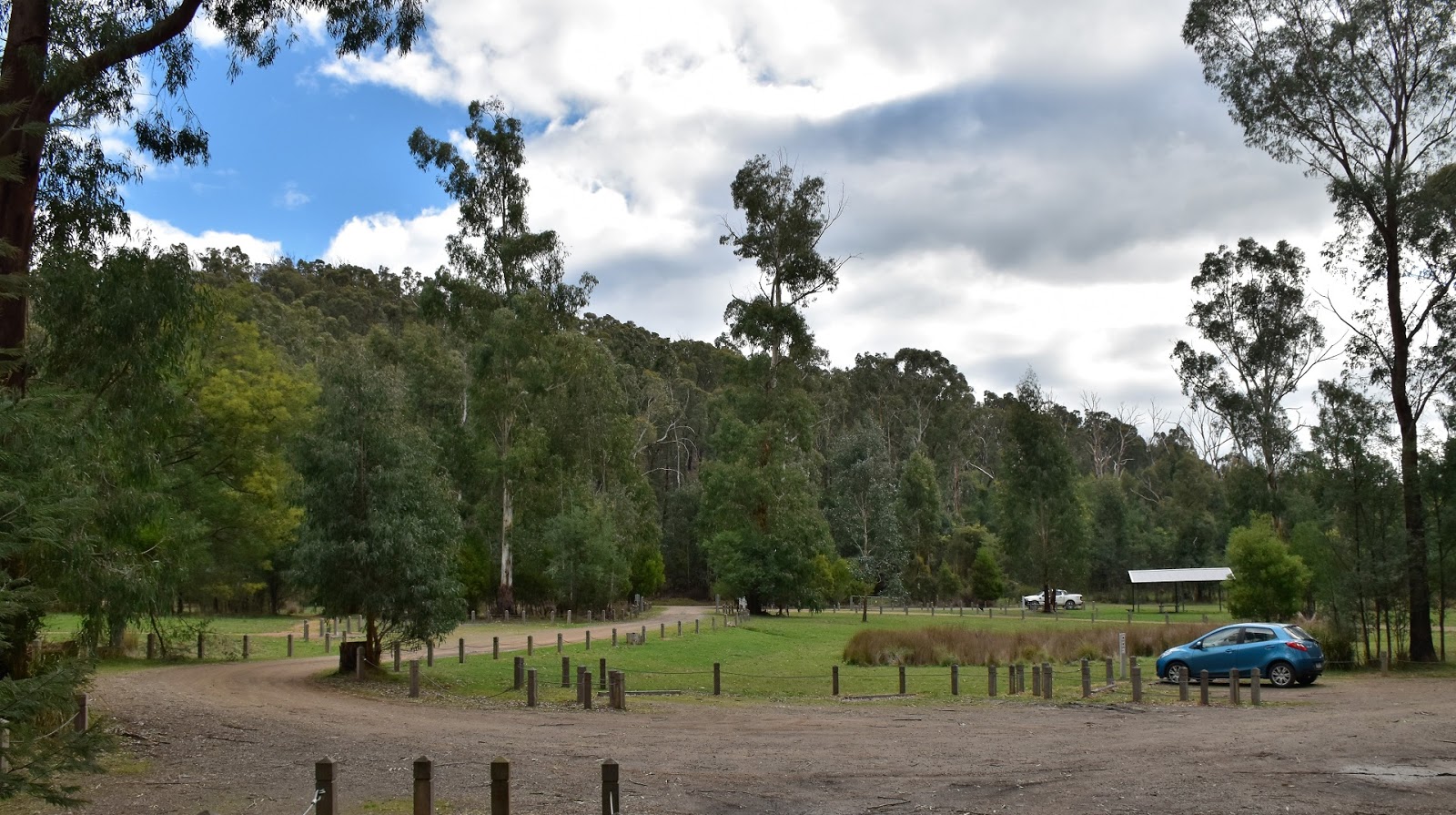 Goin' Feral One Day At A Time: Wilhelmina Falls, Murrindindi Scenic ...