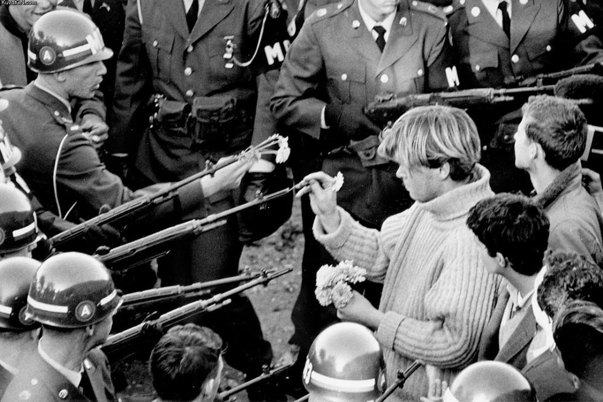 Be the Flower in the Gun: The Story Behind the Historic Photograph ...