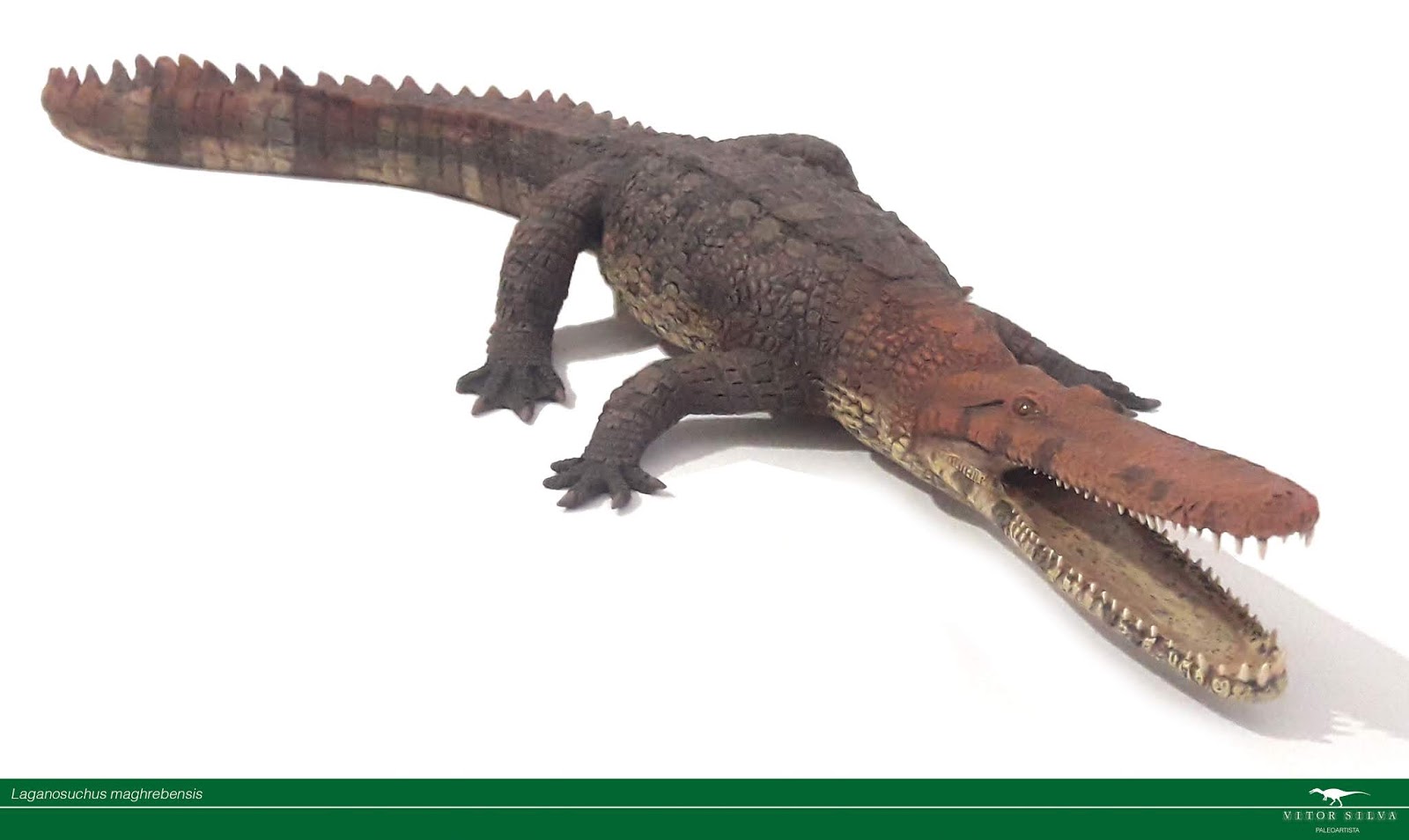 Vitor Silva - Paleoartista: Laganosuchus
