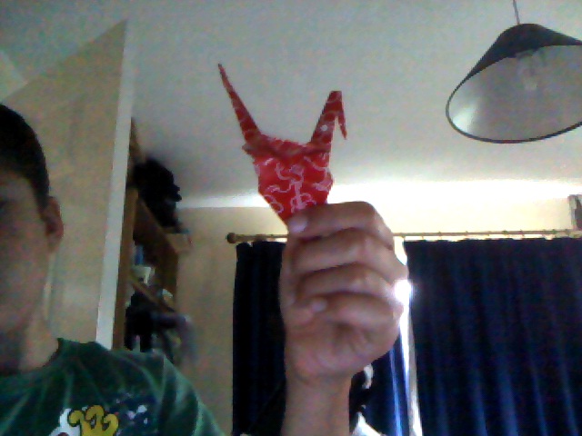Oliver s Origami Peace Crane oliver-s-origami-peace-crane