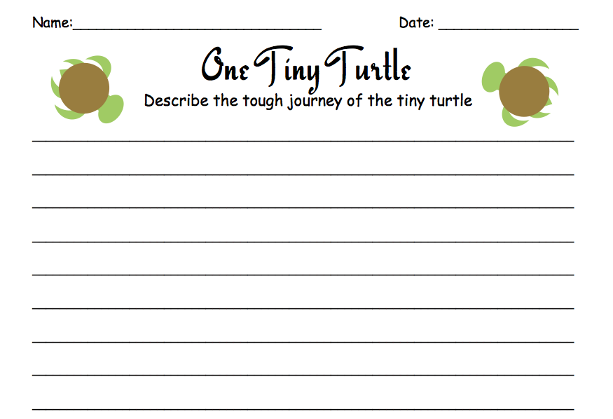 Fourth Grade Teacher Lady: One Tiny Turtle