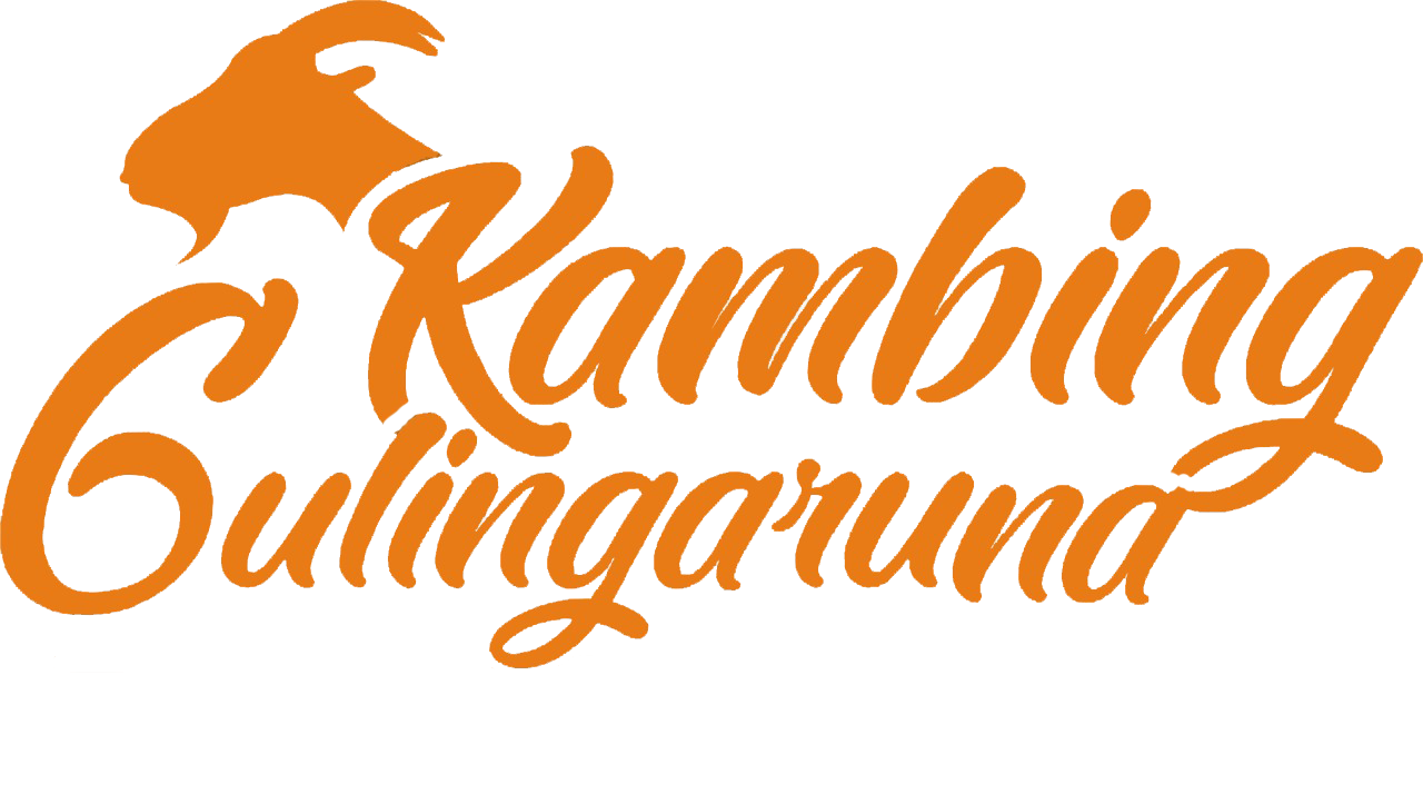 SEDIA KAMBING GULING ARUNA - MADIUN - THE COLOUR OF INDONESIA