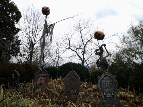 PUMPKINROT.COM: The Blog: Graveyard Creatures
