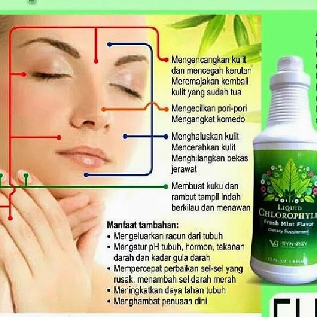 Manfaat Synergy Chlorophyll Soap- Toko Herbal Samarinda