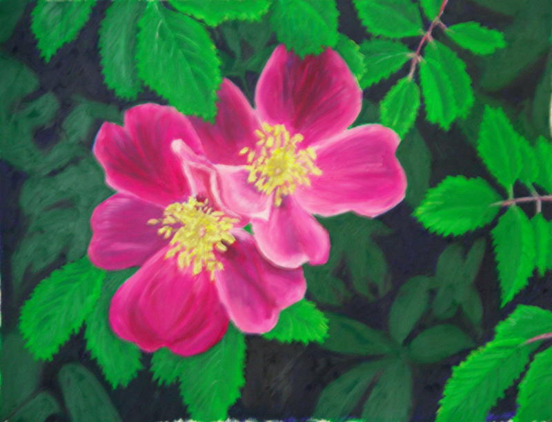 Middle Border Artist: Oil Pastel Mania!