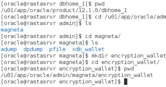 ElDiez: Transparent Data Encryption 12C Oracle