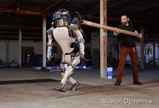 WordBasket: Fear of a Bionic Planet