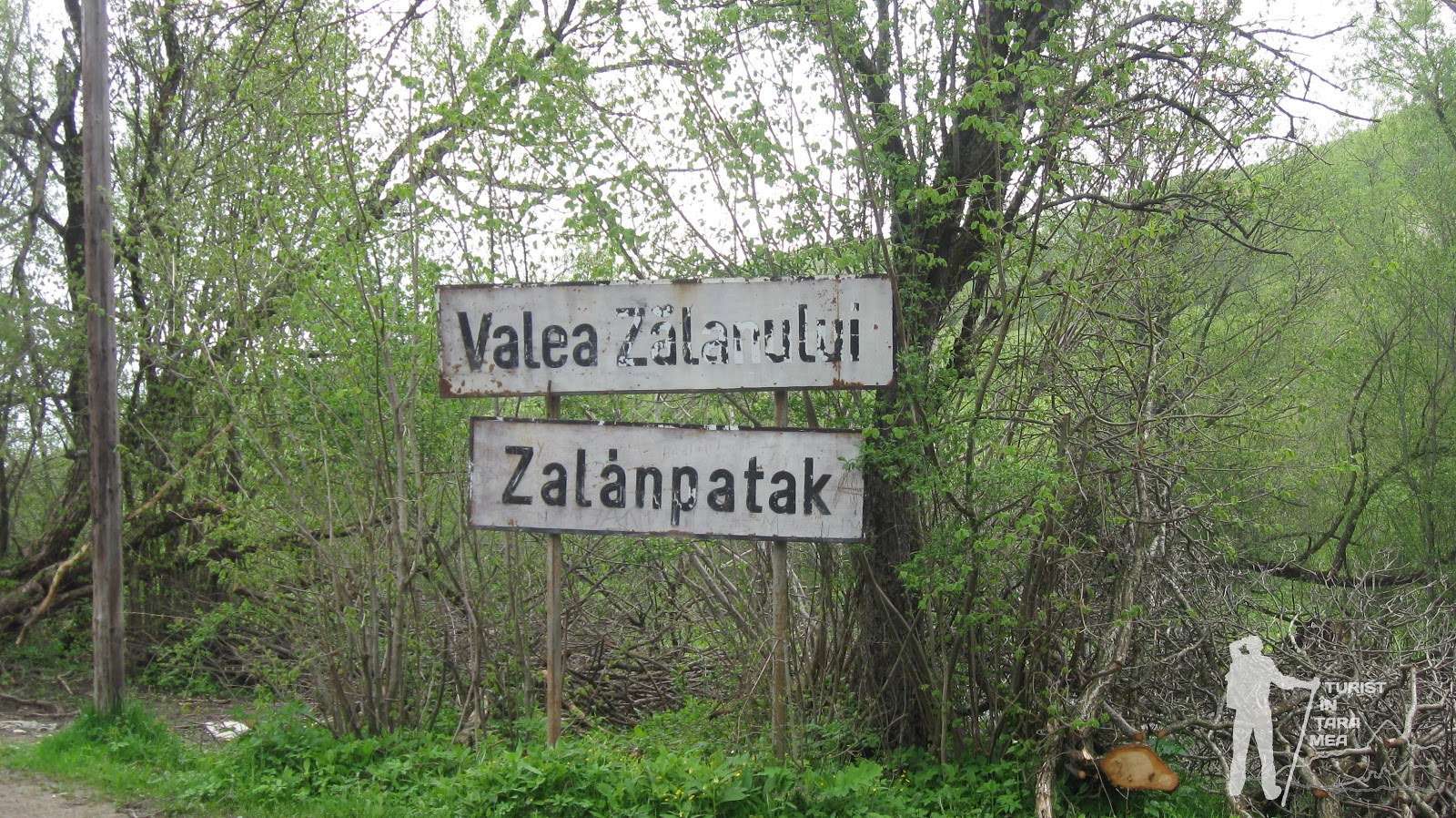 Gospodăria ţărănească a Prinţului Charles din Valea Zălanului