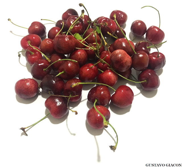 Viveiro Ciprest - Plantas Nativas e Exóticas: Cereja Européia ou ...