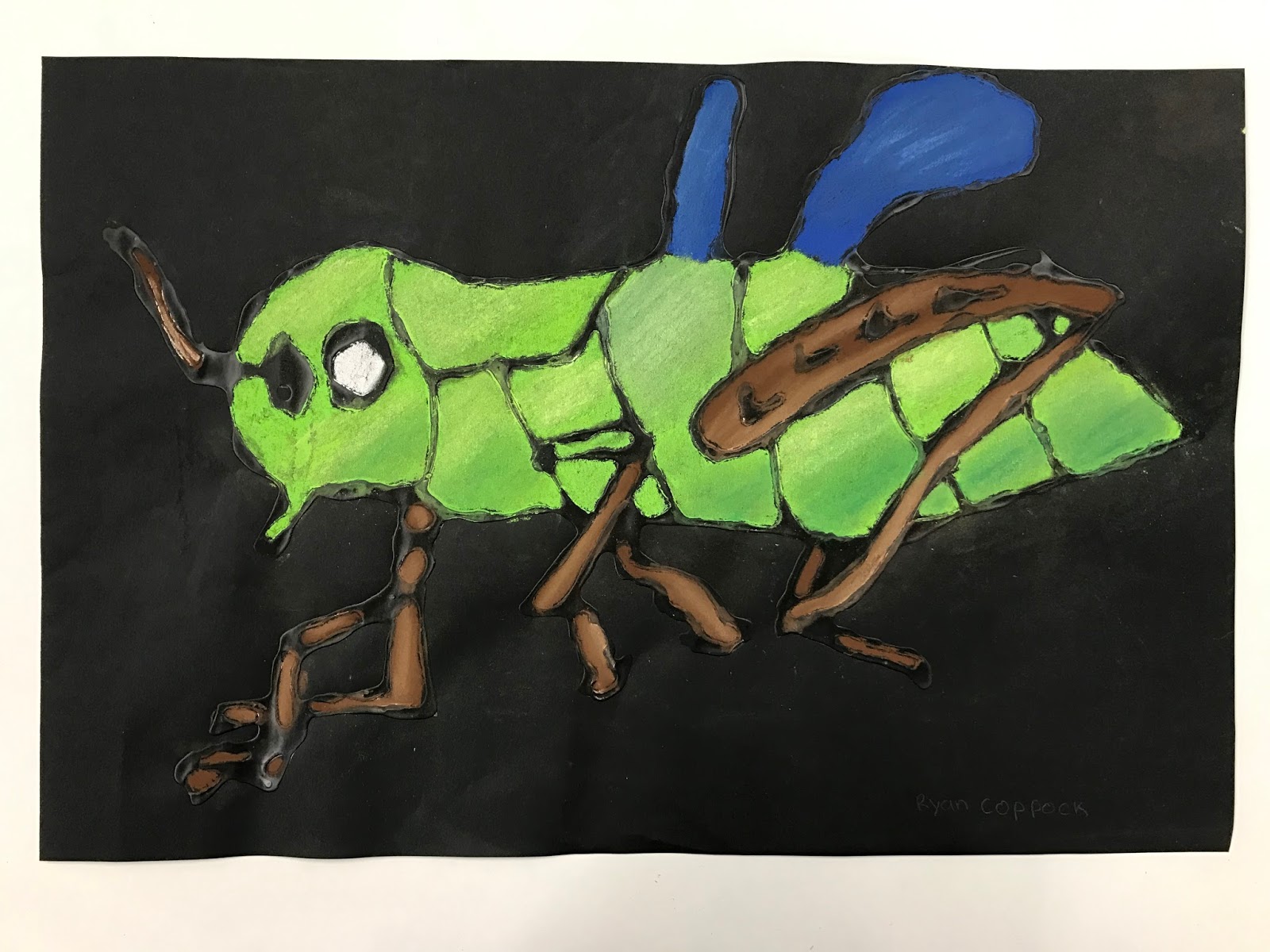Mrs. Wille's Art Room: Period 3 Pastel bug drawings