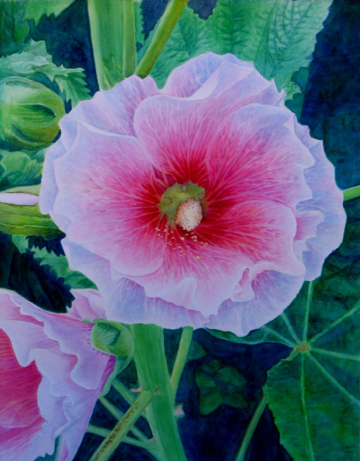 Catherine Davila - Paintings: Second Hollyhock Painting