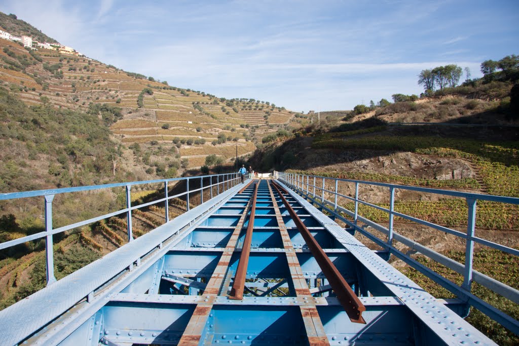 5ª Grande Rota: Linha do Corgo