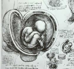 Lactivista Venezuela: La Sacralidad de la Triada Prenatal: Cordón ...