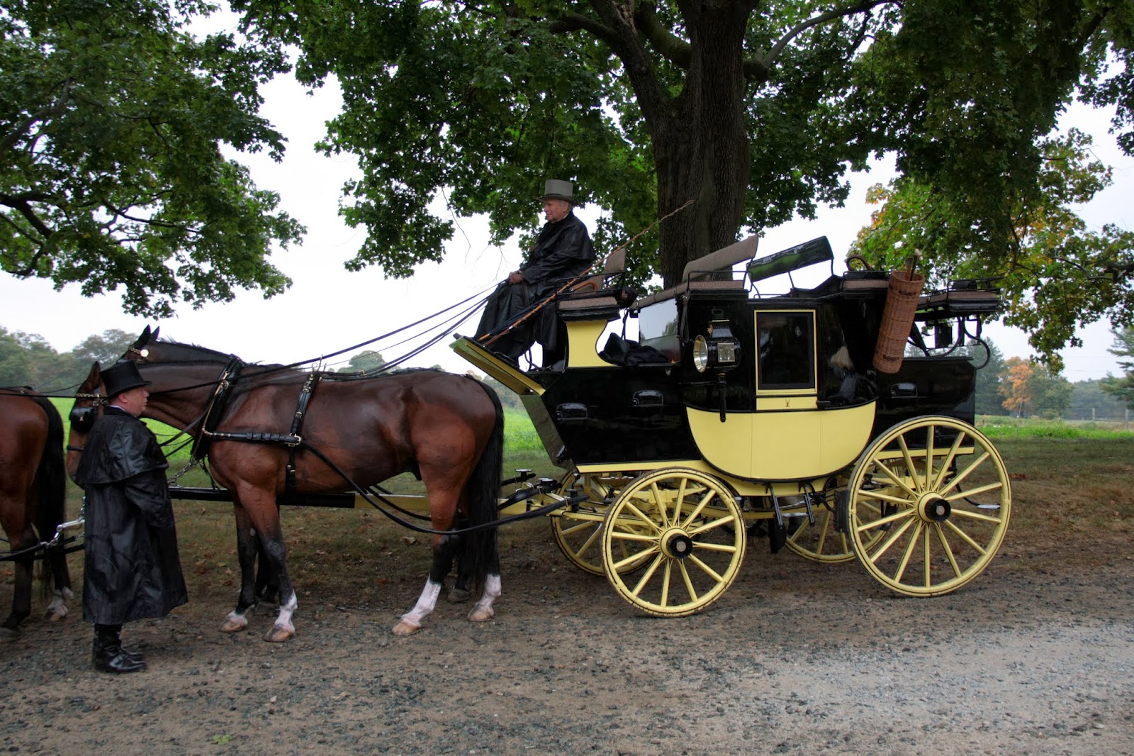 The Historic Horse Drawn Coaches of Hamilton - Antiques