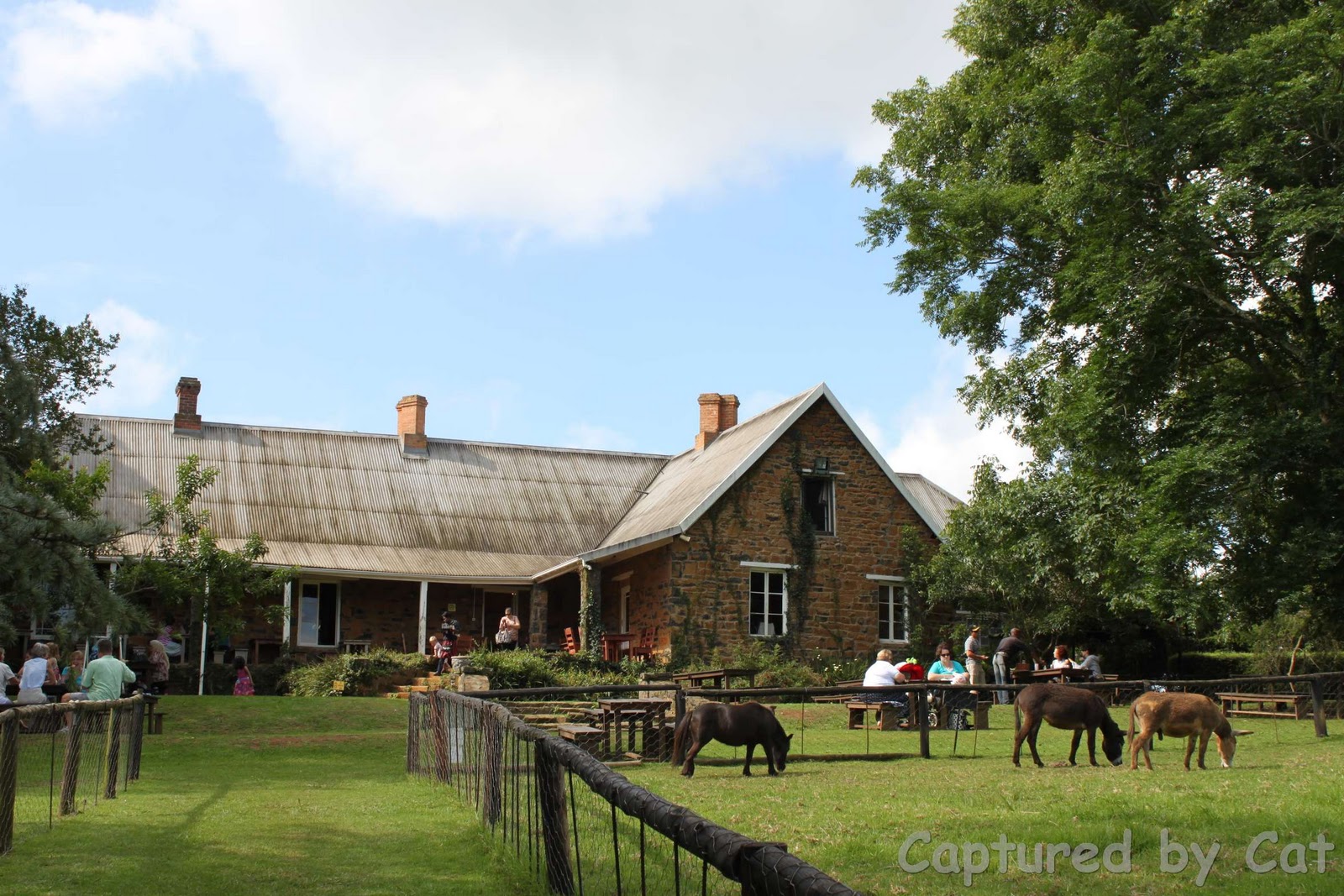 juggling act of life: YellowWood Cafe in Howick