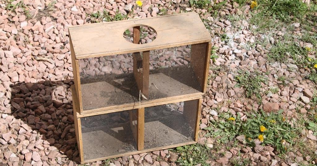 The Homestead Laboratory: Bee Package Box Sifter