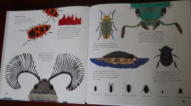 Blue Sky, Big Dreams: Books Gone Buggy