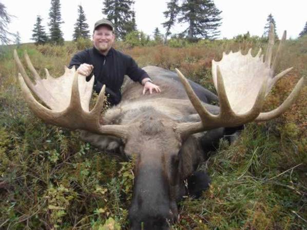 Entre Dedos: Os Alces