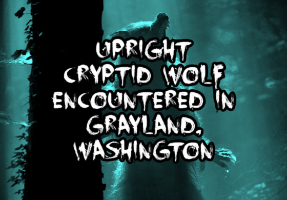 Phantoms and Monsters - Real Cryptid Encounter Reports - Fortean ...