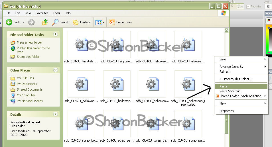 Sharon's Scrappin Secrets: How to run a PSP Script by Sharon Becker