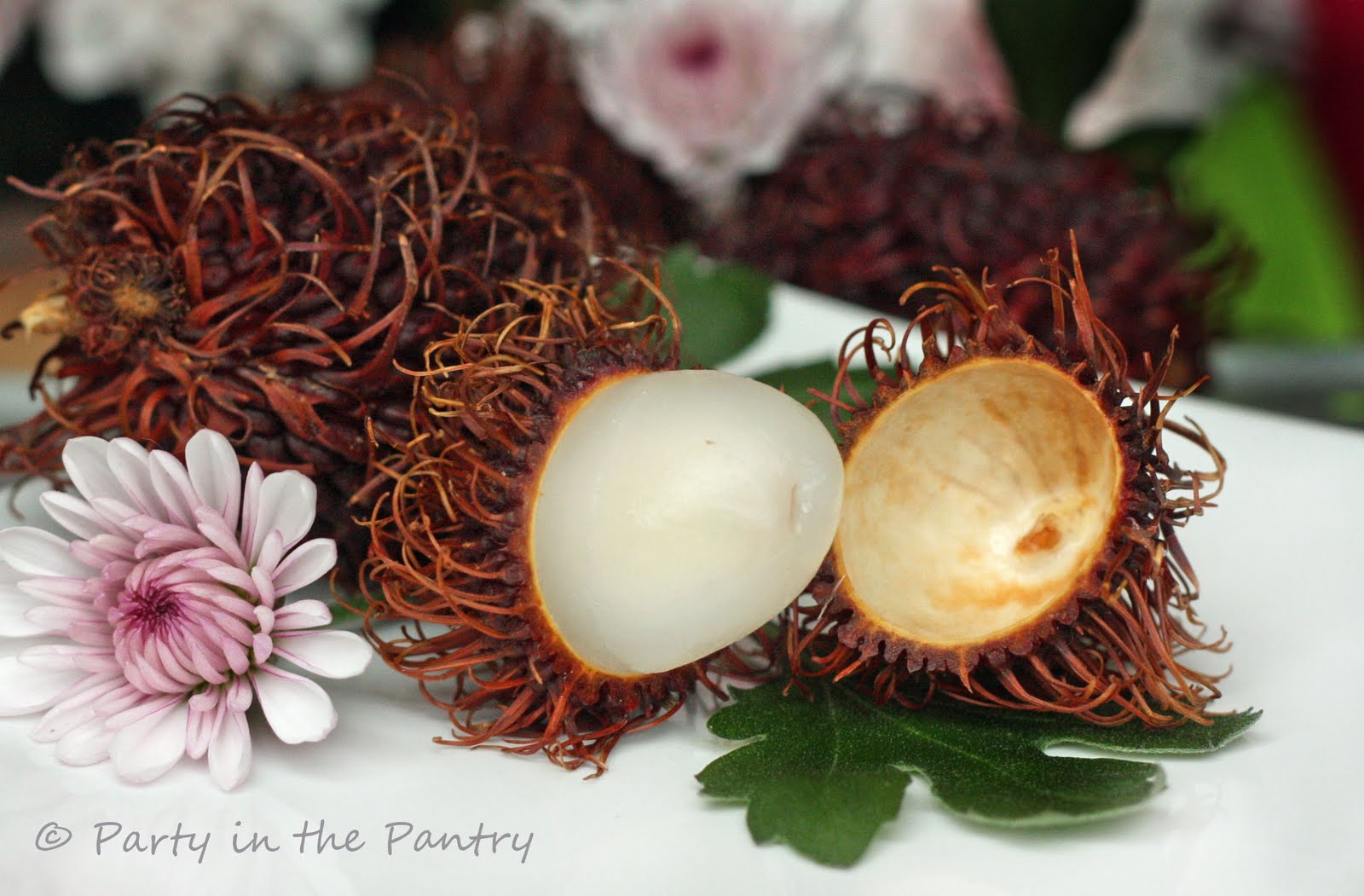 Party in the Pantry!