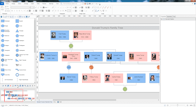 How to Create Family Tree Diagrams on Mac and Windows