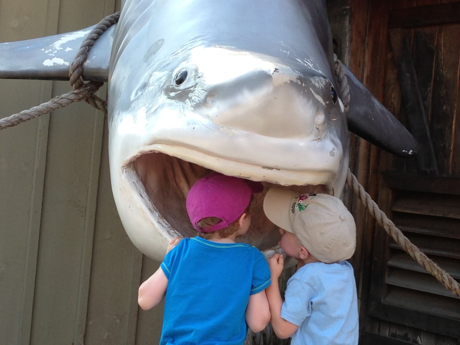 Musings from the Big Pink: Thrills! Amusement! Thick Inner Ear Fluid ...