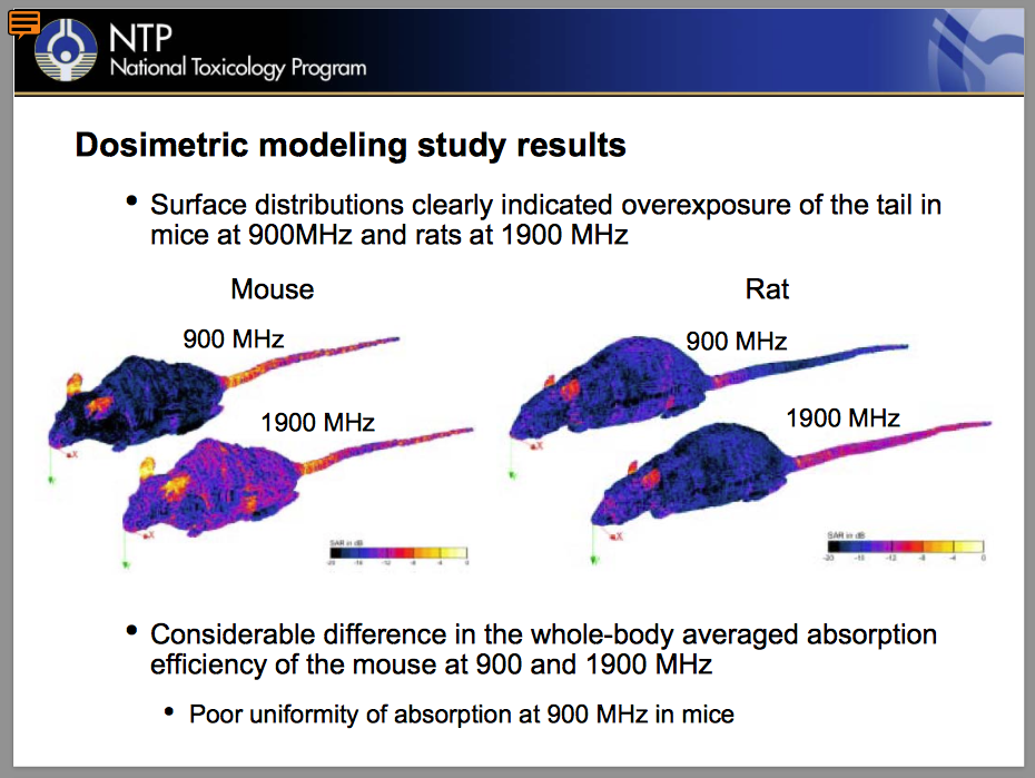 Safe Tech for Schools Maryland: "Our Children Are Not Lab Rats" A ...