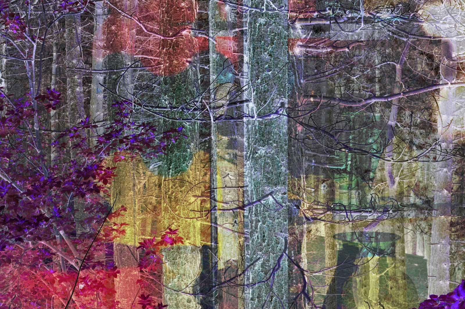 NB Photography : Unit 32 Images and Evaluation for Experimental photography