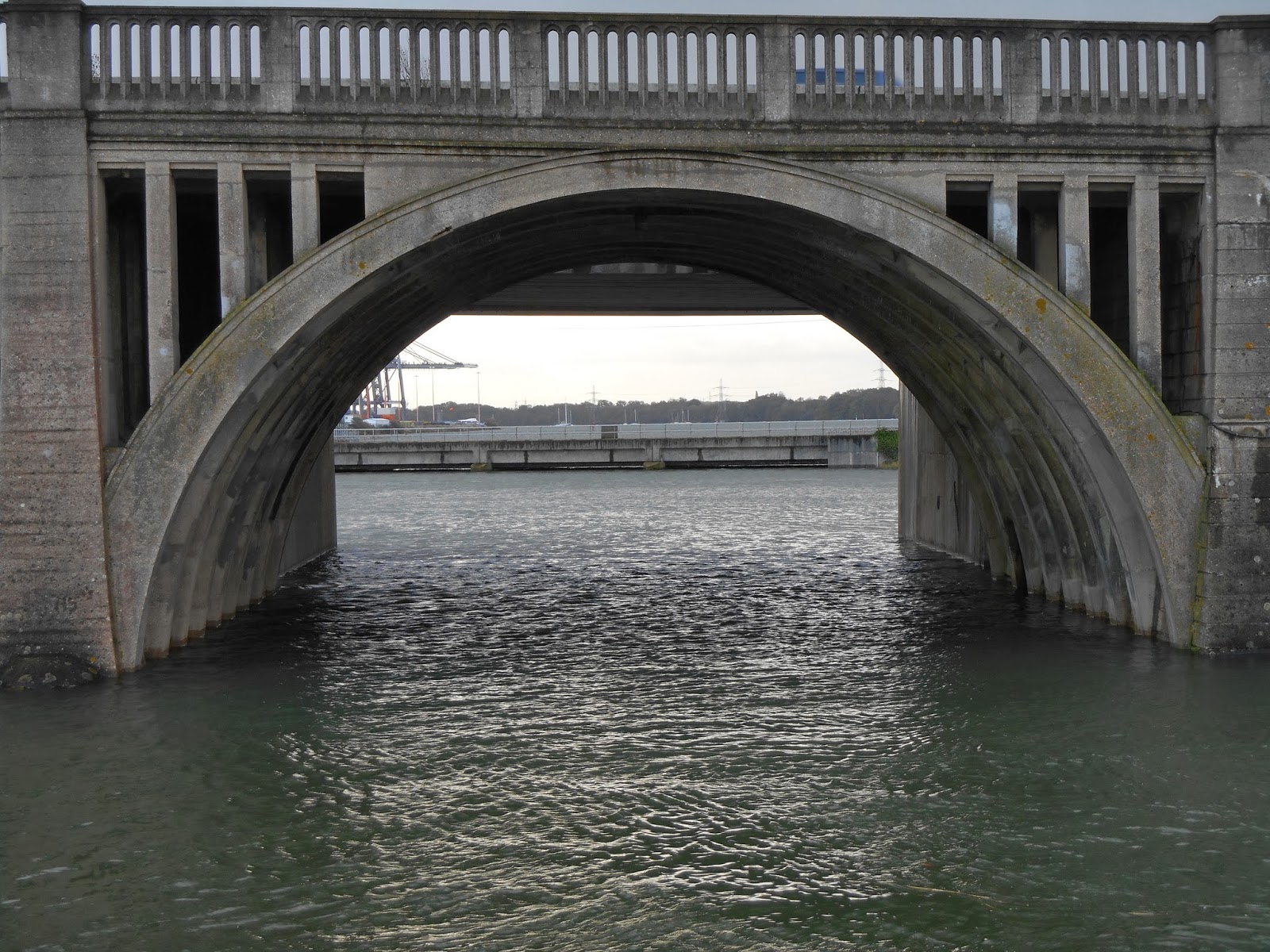 Nature Notes and Observations: High Spring Tide at Redbridge and Lower ...