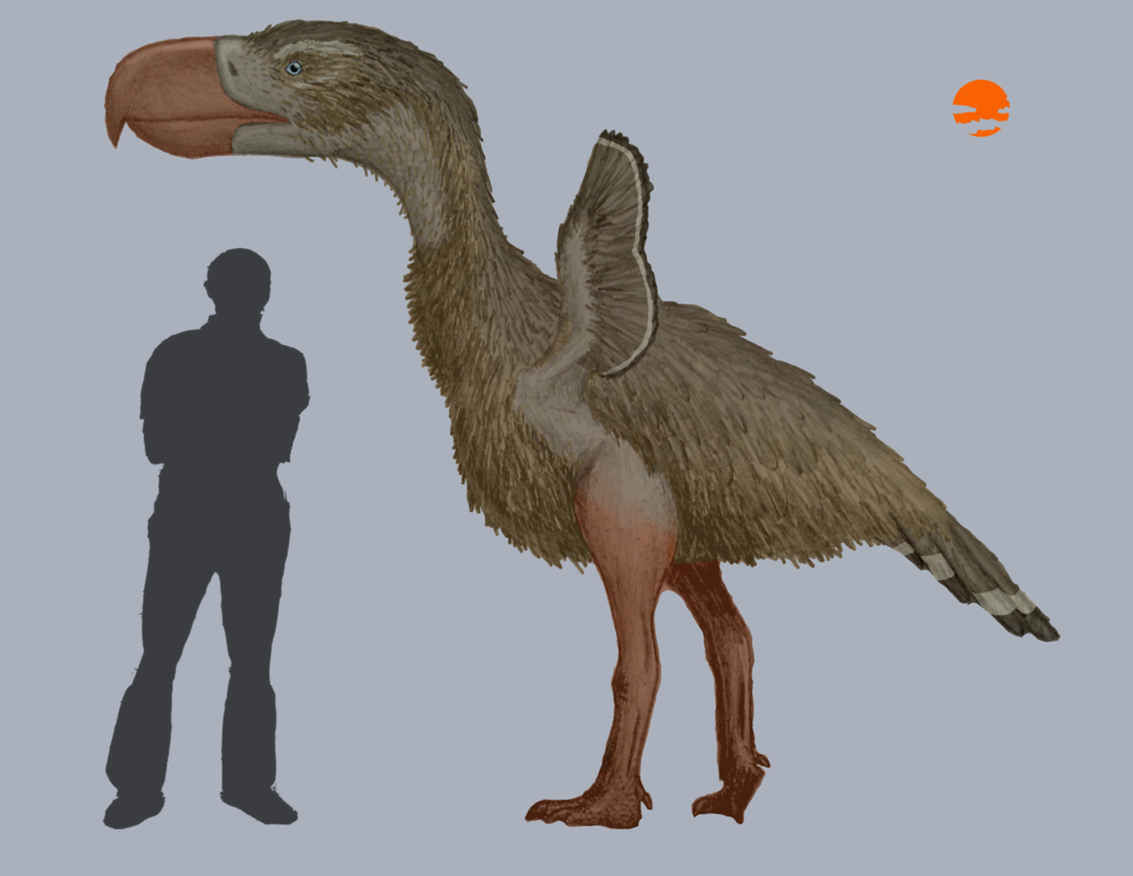 Mi blog: Galería de imágenes: Brontornis