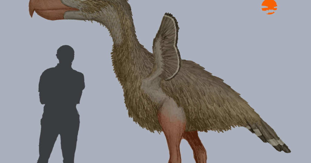 Mi blog: Galería de imágenes: Brontornis