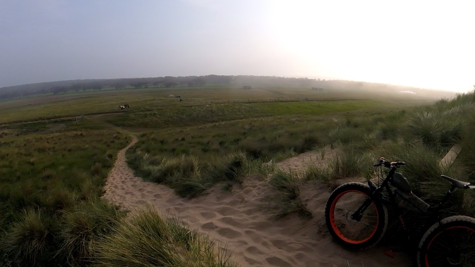 coastrider: Midweek Cycle; Offshore Sea Haar at Tyninghame...